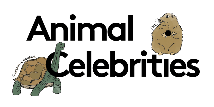Animal Celebrities