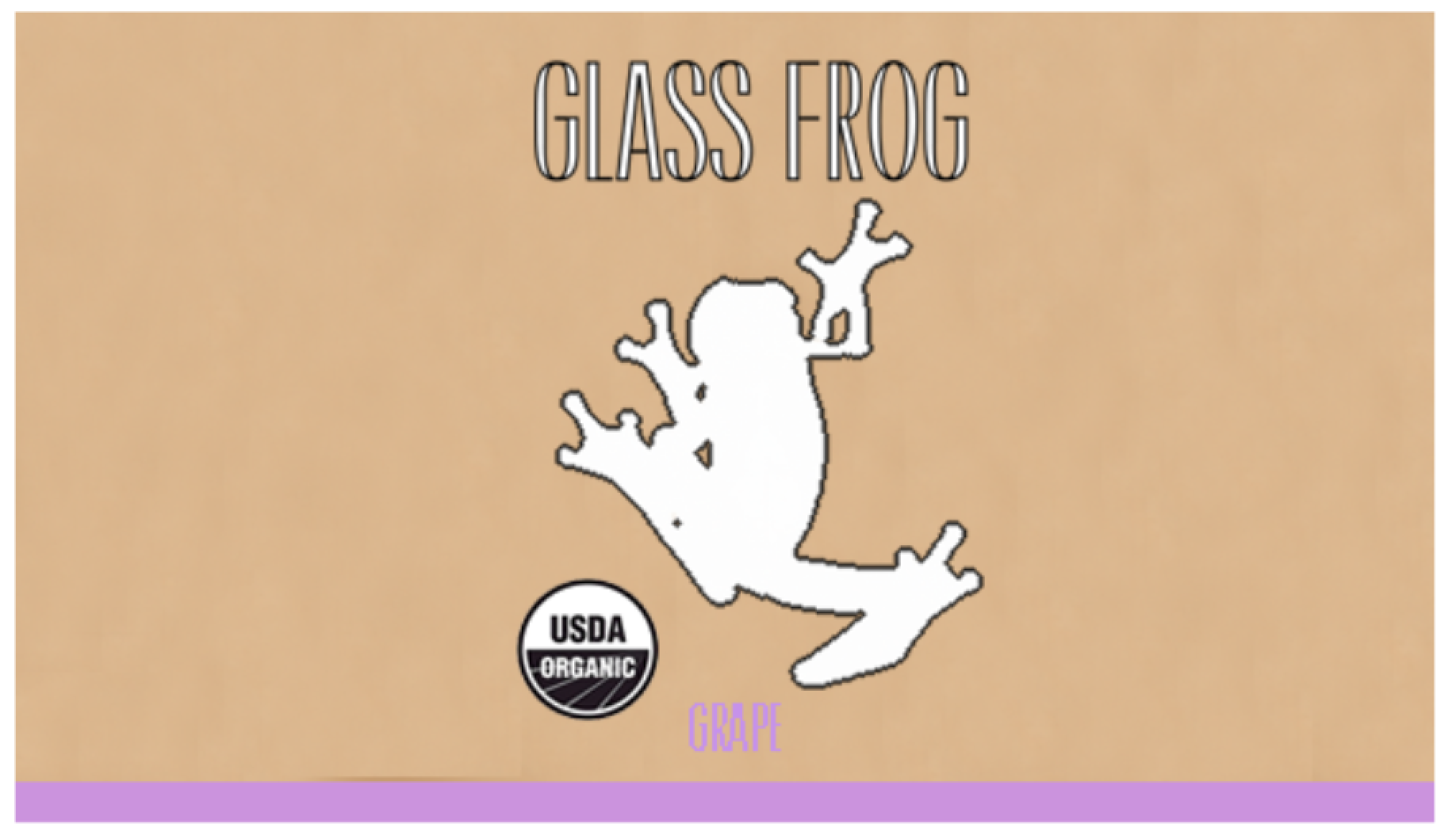 Glass Frog Product Design – Jen Roby